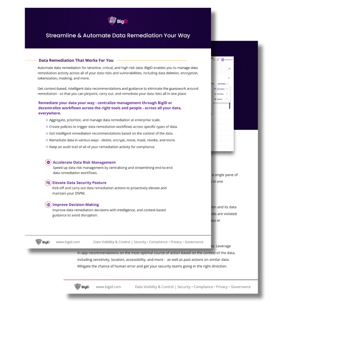 Data Remediation App Datasheet Bigid